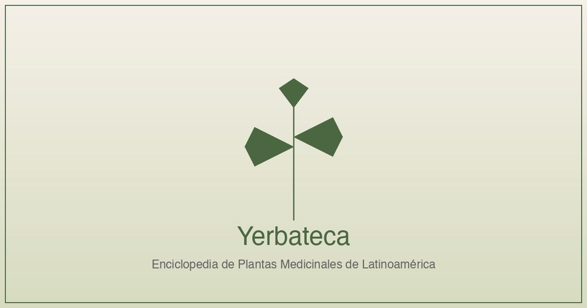 Aloe ferox: 3 Usos Tradicionales + Evidencia